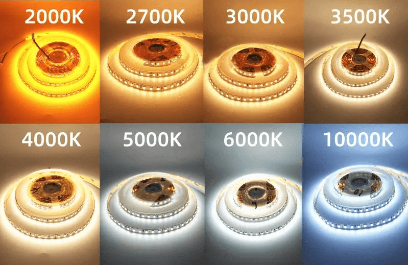 6000K VS. 5000K LED Lights: Differences and Uses - Darkless LED ...